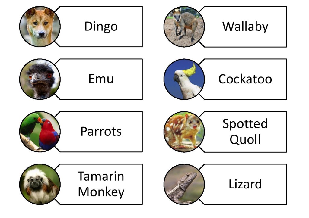 Alexandra Park Zoo Passport Template - Wide Bay Kids