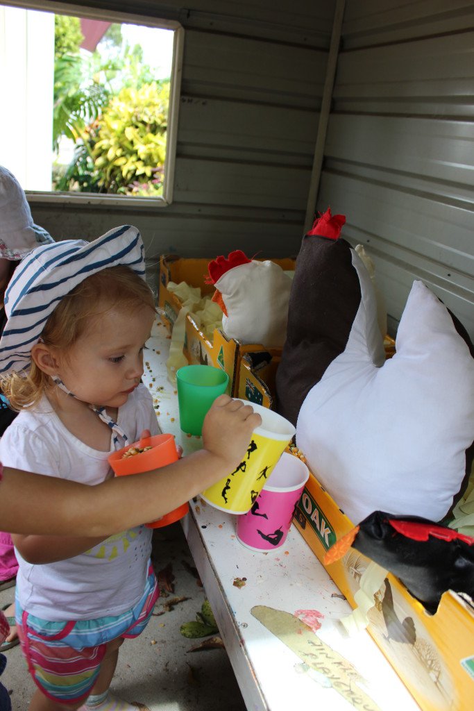 Make your own Hattie and the Fox Hen House - Wide Bay Kids