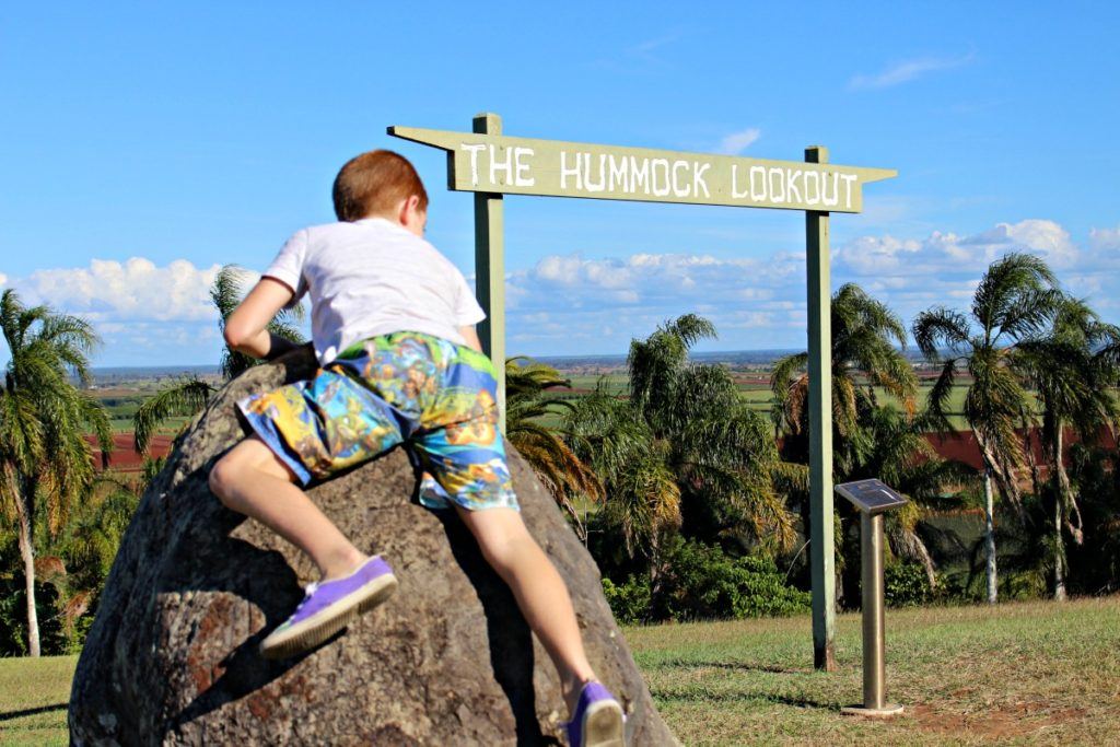 Hummock Lookout and Reserve - Wide Bay Kids