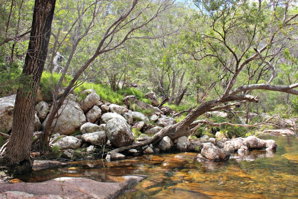Mt Walsh Utopia Rock Pools Biggenden - Wide Bay Kids