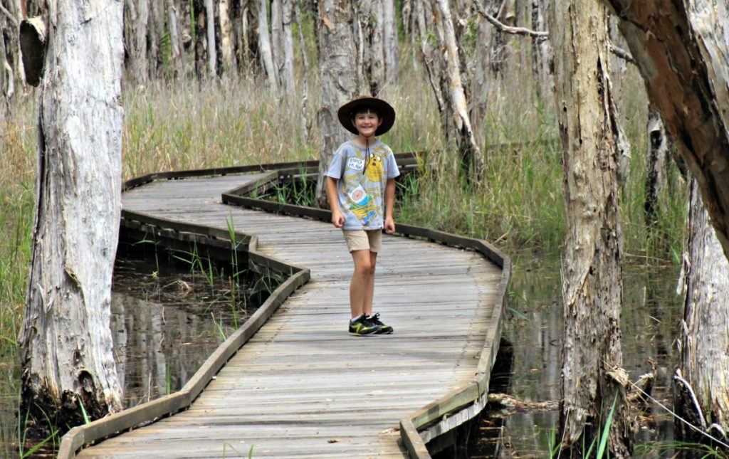 Woodgate Banksia Walking Track - Wide Bay Kids