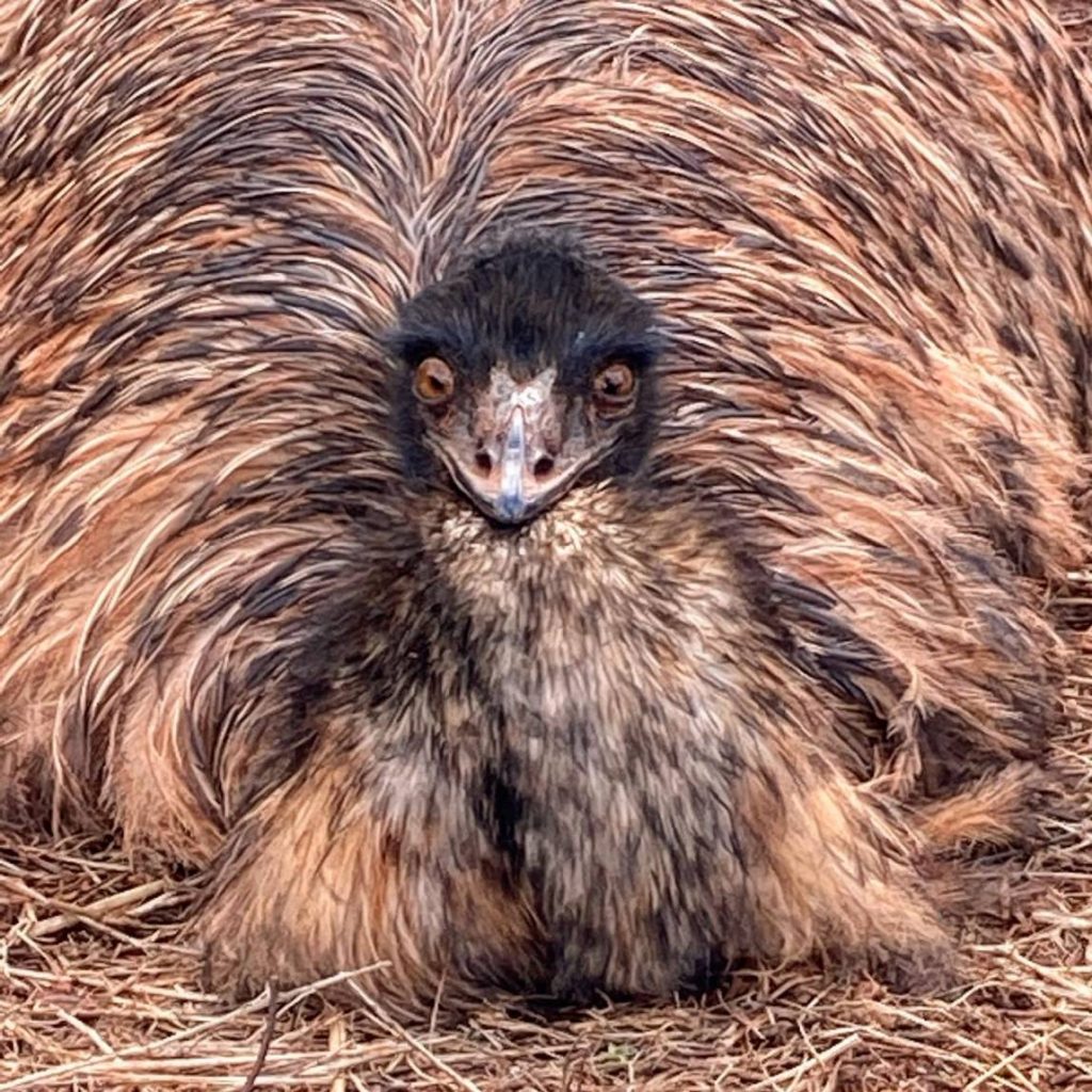 Snakes Downunder Reptile Park & Zoo - Wide Bay Kids