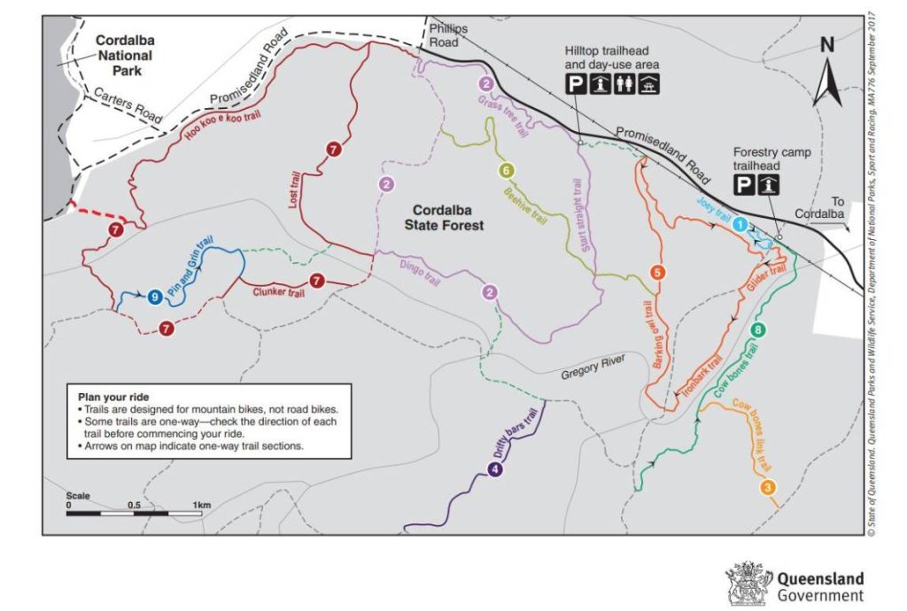 Exploring the Cordalba State Forest Mountain Bike Trails - Wide Bay Kids